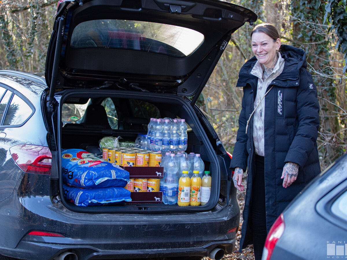 Nagy volt a menhely látogatottsága a szombati programon | Kanizsa Médiaház